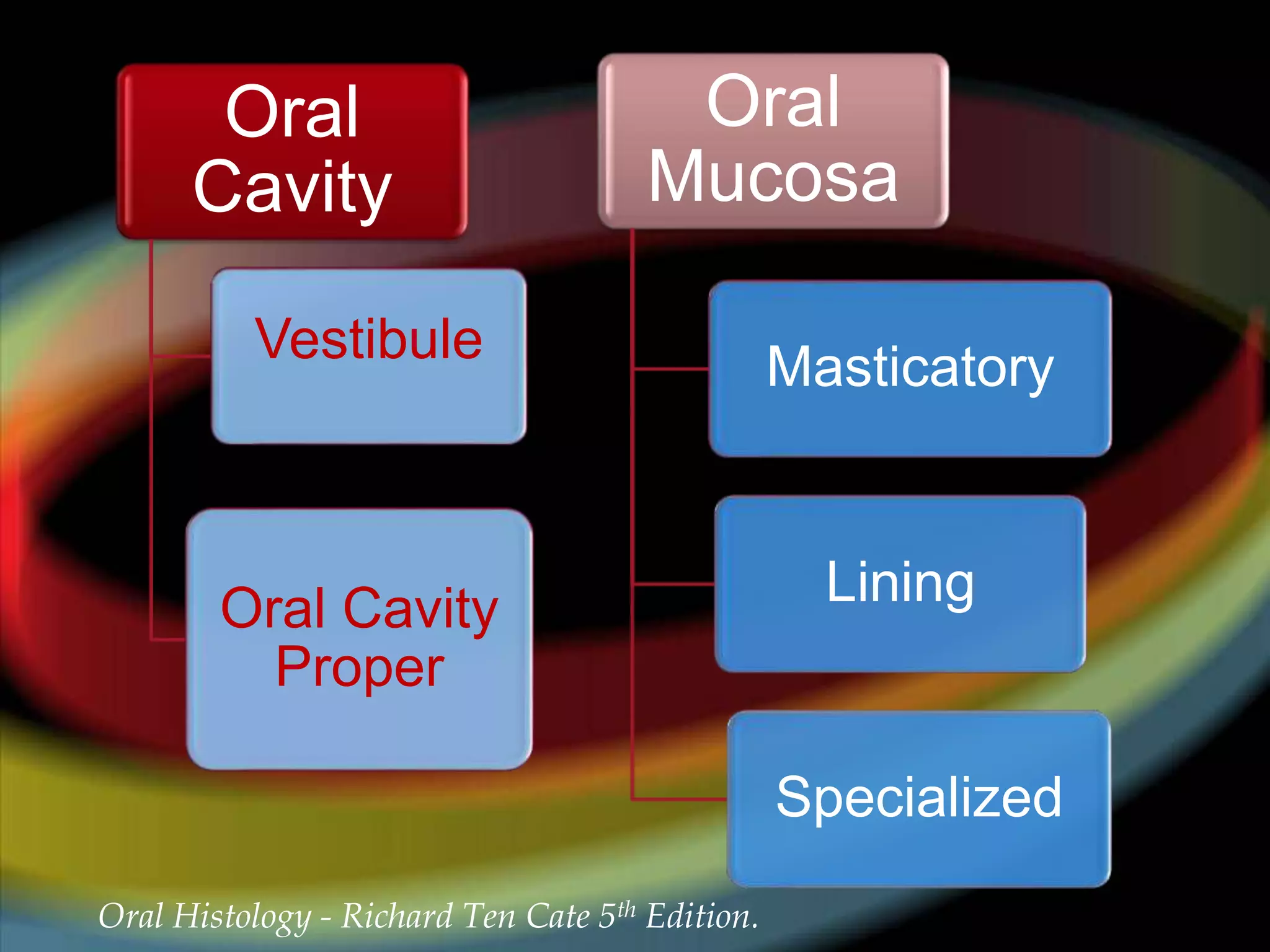 Final mucosa ppt 2007 | PPTX