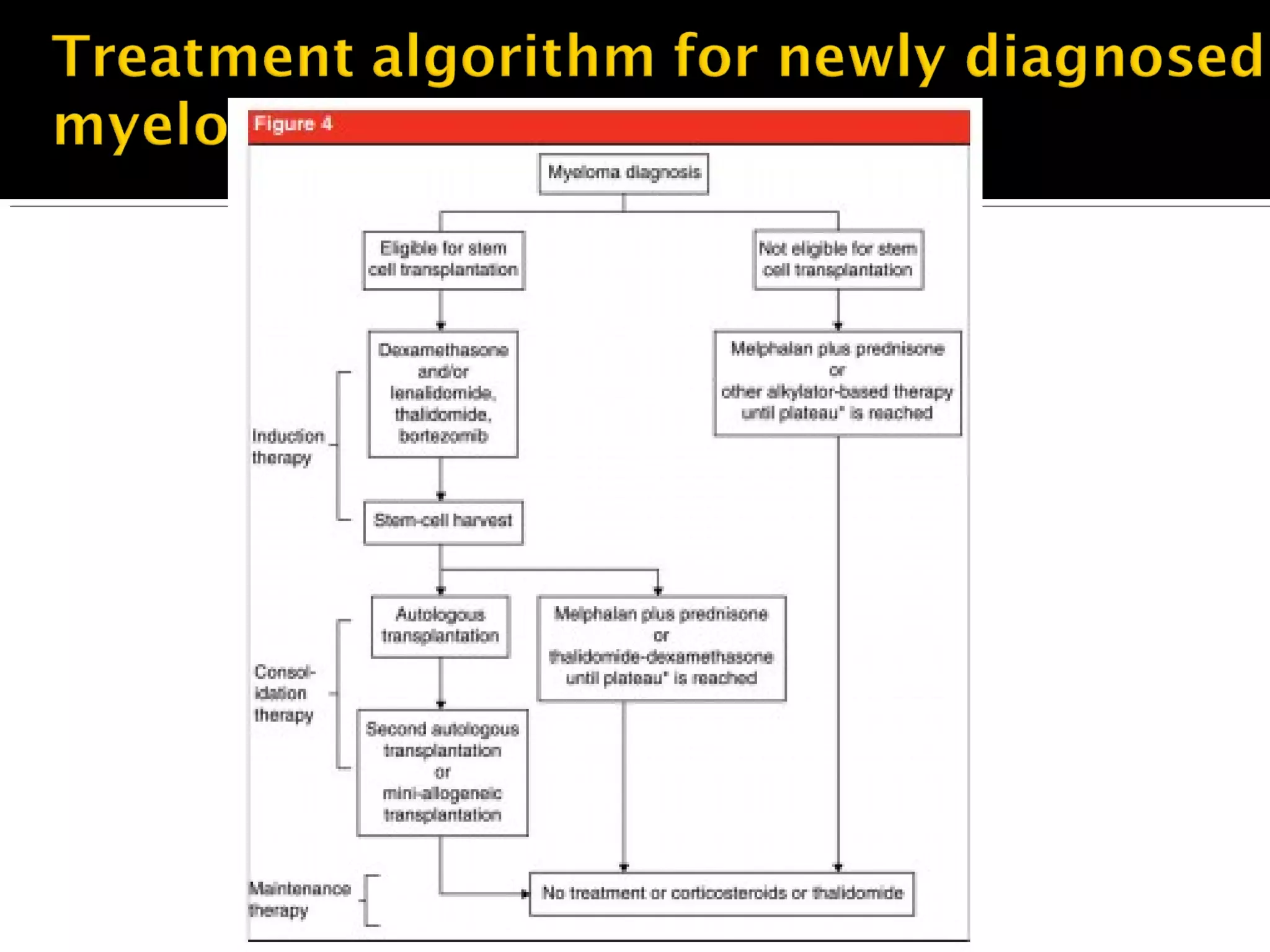 Final multiple myeloma | PPT