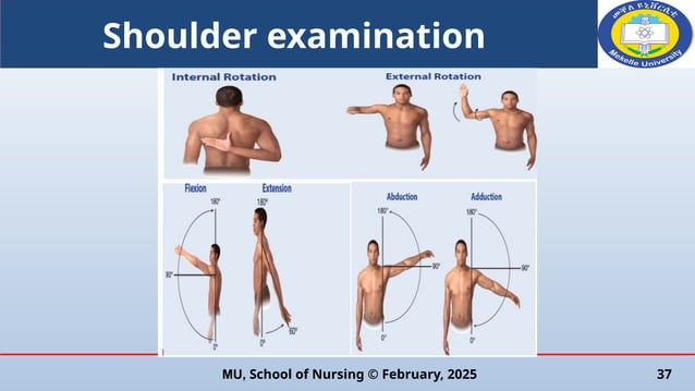 Musculoskeletal system Physical examination | PPT
