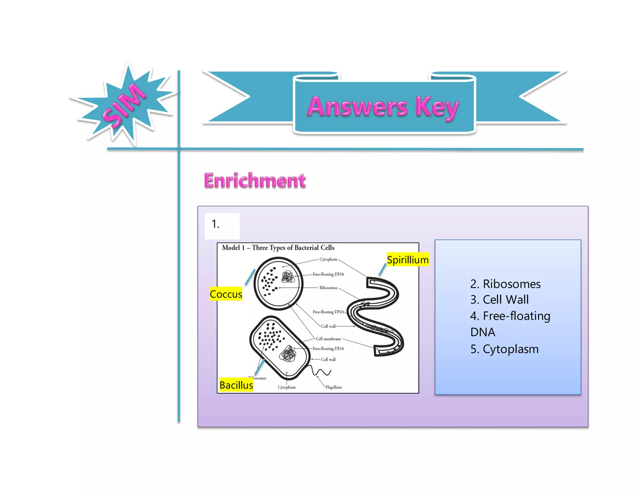 Strategic Intervention Materials (SIM) - Science | DOCX