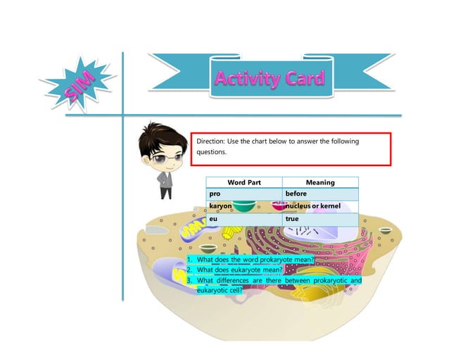 Strategic Intervention Materials (SIM) - Science | DOCX | Biological ...