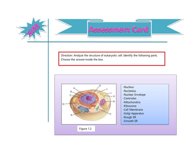 Strategic Intervention Materials (SIM) - Science | DOCX | Biological ...