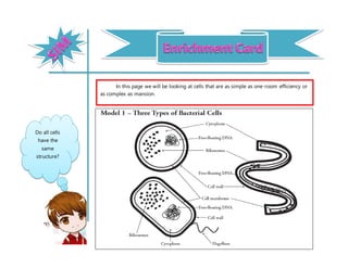 Strategic Intervention Materials (SIM) - Science | DOCX