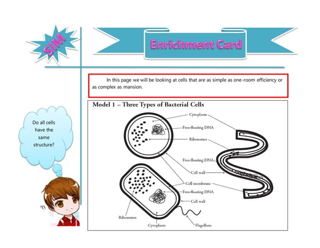 Strategic Intervention Materials (SIM) - Science | DOCX | Biological ...