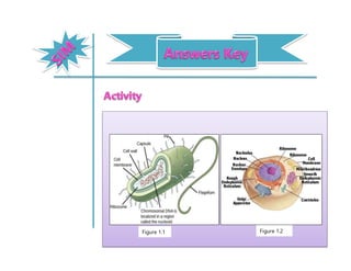 Strategic Intervention Materials (SIM) - Science | DOCX