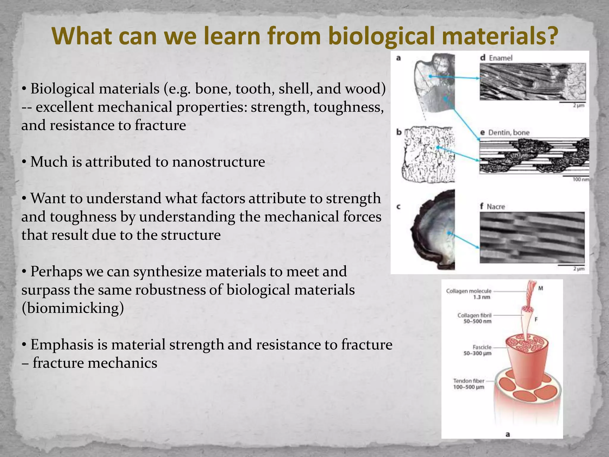 Mechanical Properties of Biological Nanocomposites | PPT | Chemistry ...