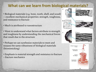 Mechanical Properties of Biological Nanocomposites | PPT