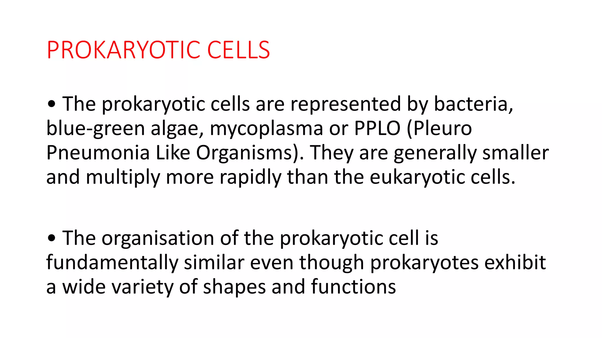 cell and its organelle | PPTX