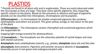 cell and its organelle | PPTX