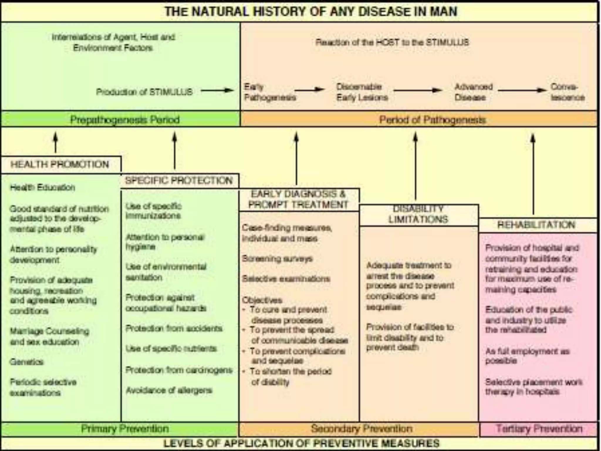 NATURAL HISTORY OF DISEASE | PPTX | Infectious Diseases | Diseases and Conditions