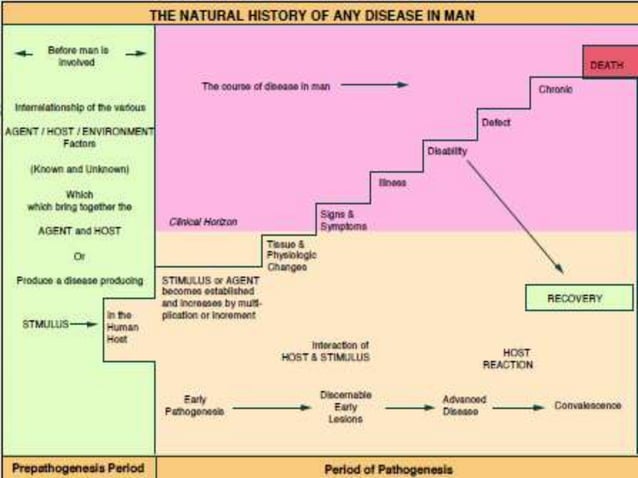 NATURAL HISTORY OF DISEASE | PPTX | Infectious Diseases | Diseases and ...