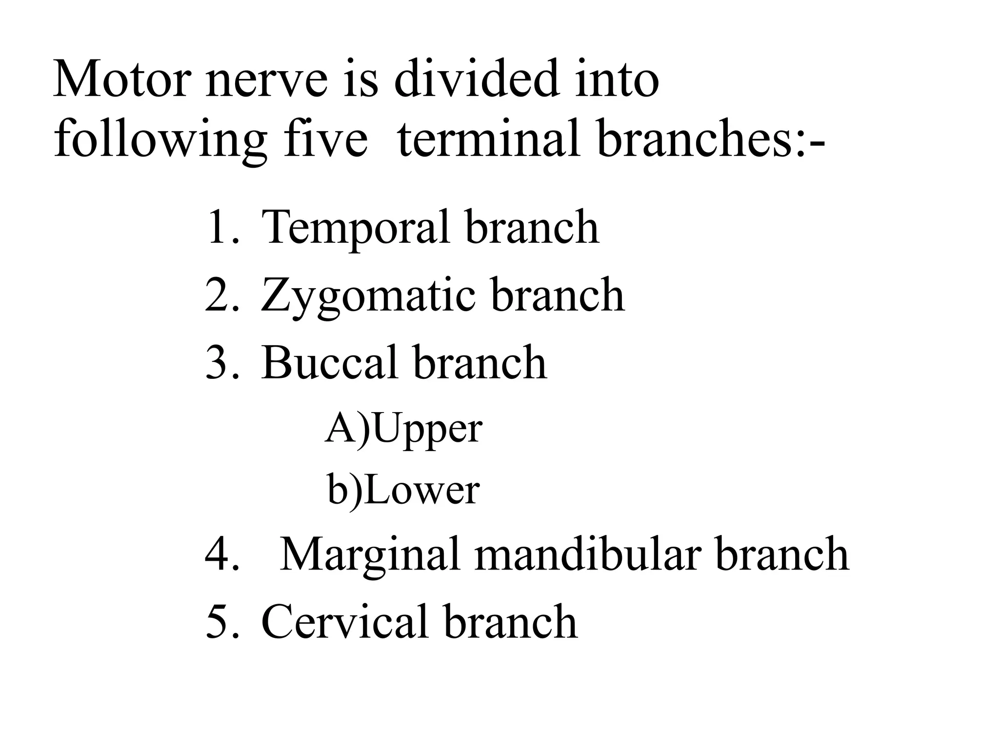 Nerve supply of face & applied | PPTX
