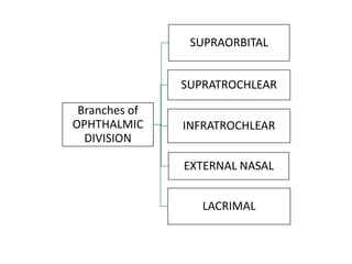Nerve supply of face & applied | PPTX