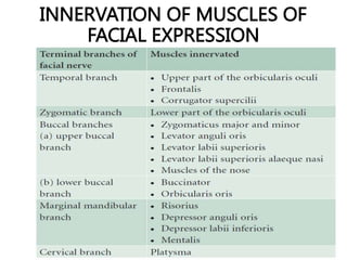 Nerve supply of face & applied | PPTX
