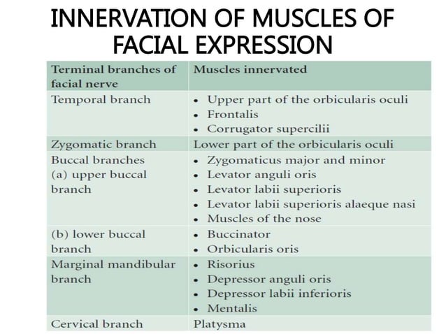 Nerve supply of face & applied | PPTX