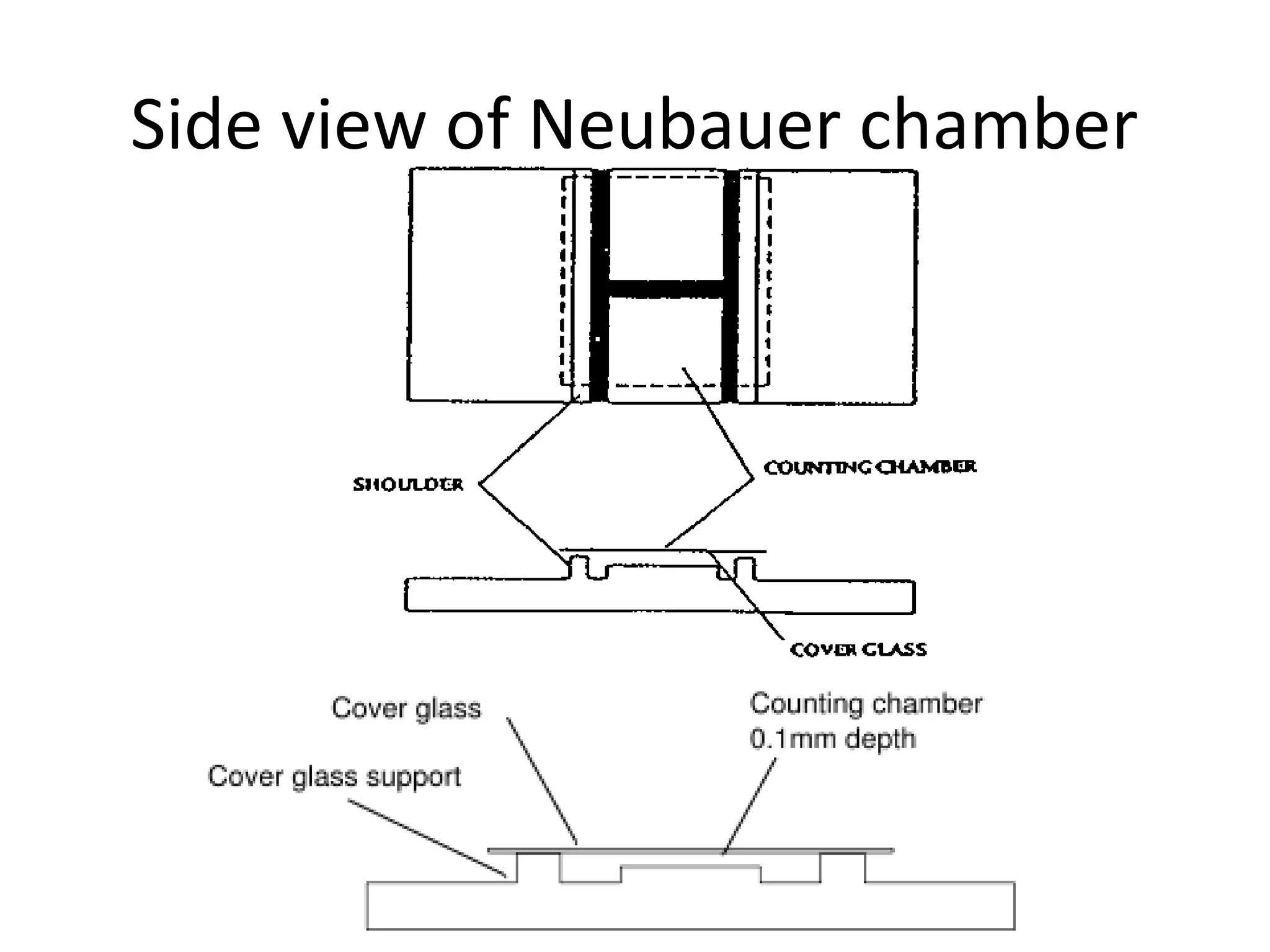 Final neubauer chamber by Pandian M, Dept of Physiology, DYPMCKOP, MH | PPS