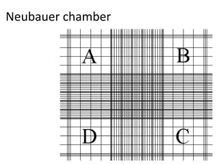 Final neubauer chamber by Pandian M, Dept of Physiology, DYPMCKOP, MH | PPS