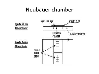 Final neubauer chamber by Pandian M, Dept of Physiology, DYPMCKOP, MH | PPS