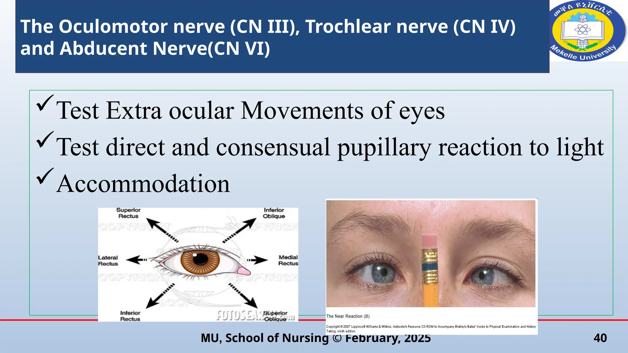 Neurological system physical examination.pptx