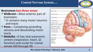 Neurological system physical examination.pptx
