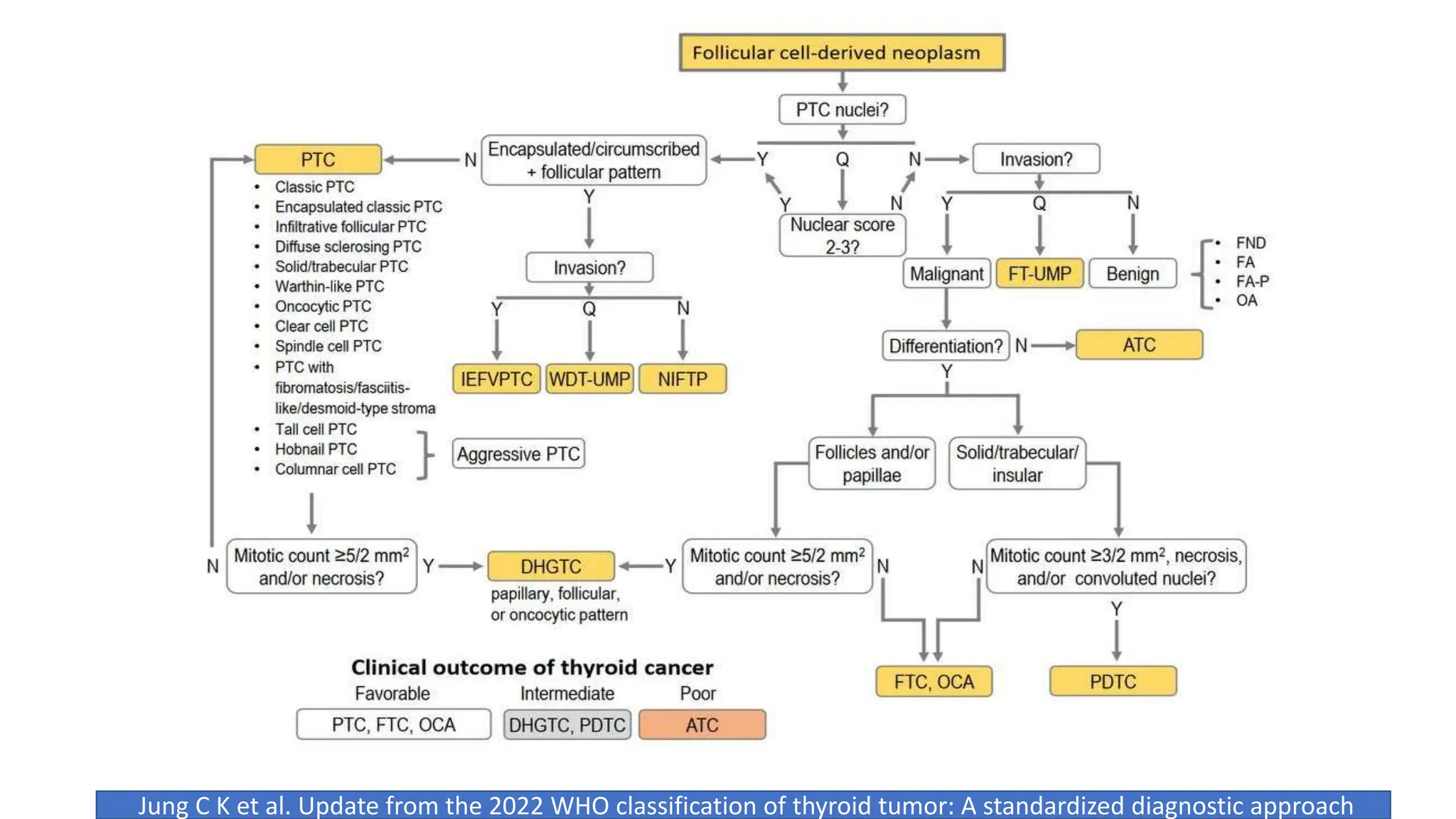 FINAL New WHO thyroid update.pptx