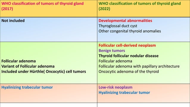 FINAL New WHO thyroid update.pptx