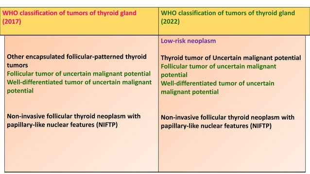 FINAL New WHO thyroid update.pptx