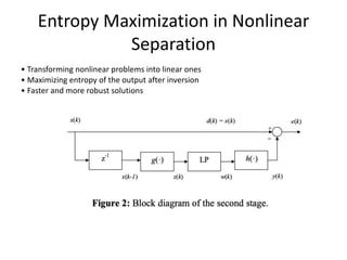 Final_Nice_Blind_Source_Separation_Presentation.pdf