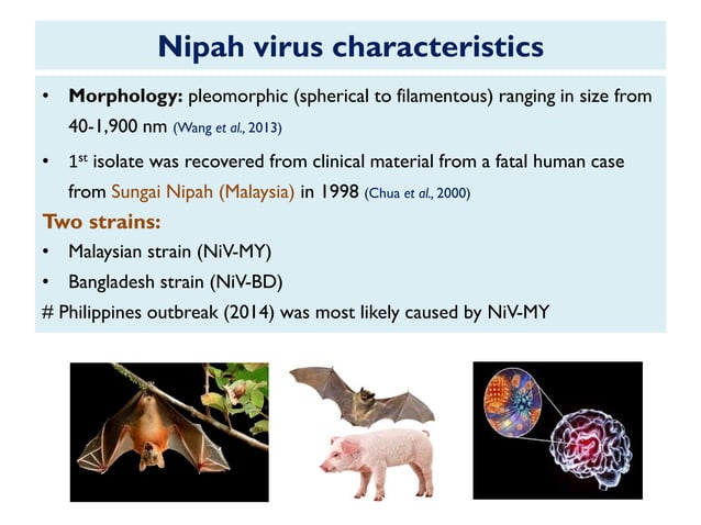Nipah: An Introduction | PDF