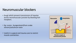 Neuromuscular junction and Neuromuscular transmission | PPTX