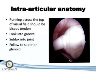 Final, normal anatomy 2013 | PPT