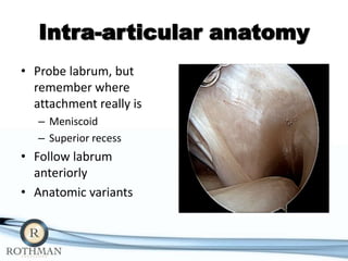 Final, normal anatomy 2013 | PPT