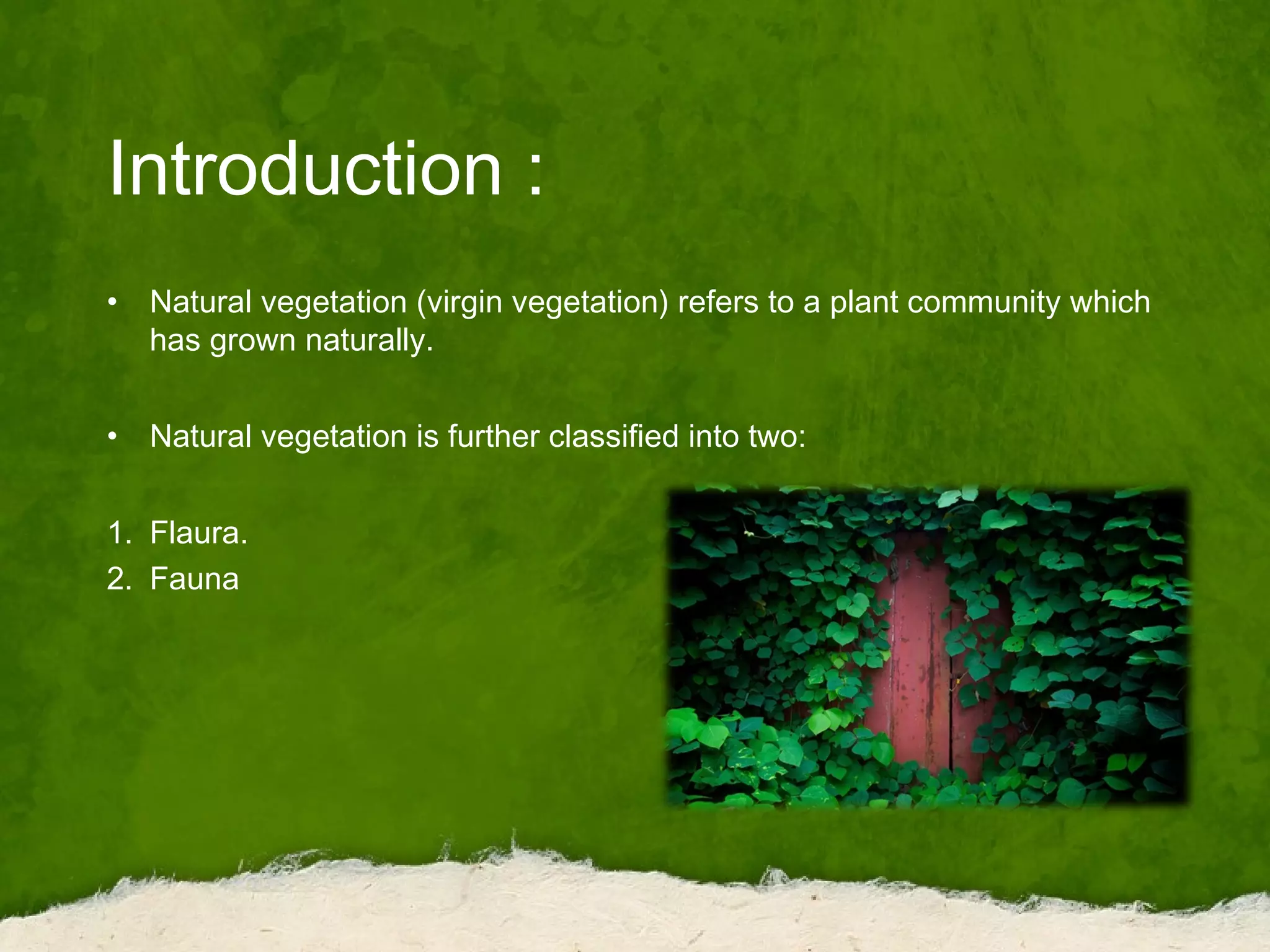 NATURAL VEGETATION | PPT