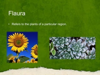 NATURAL VEGETATION | PPT