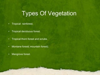 NATURAL VEGETATION | PPT
