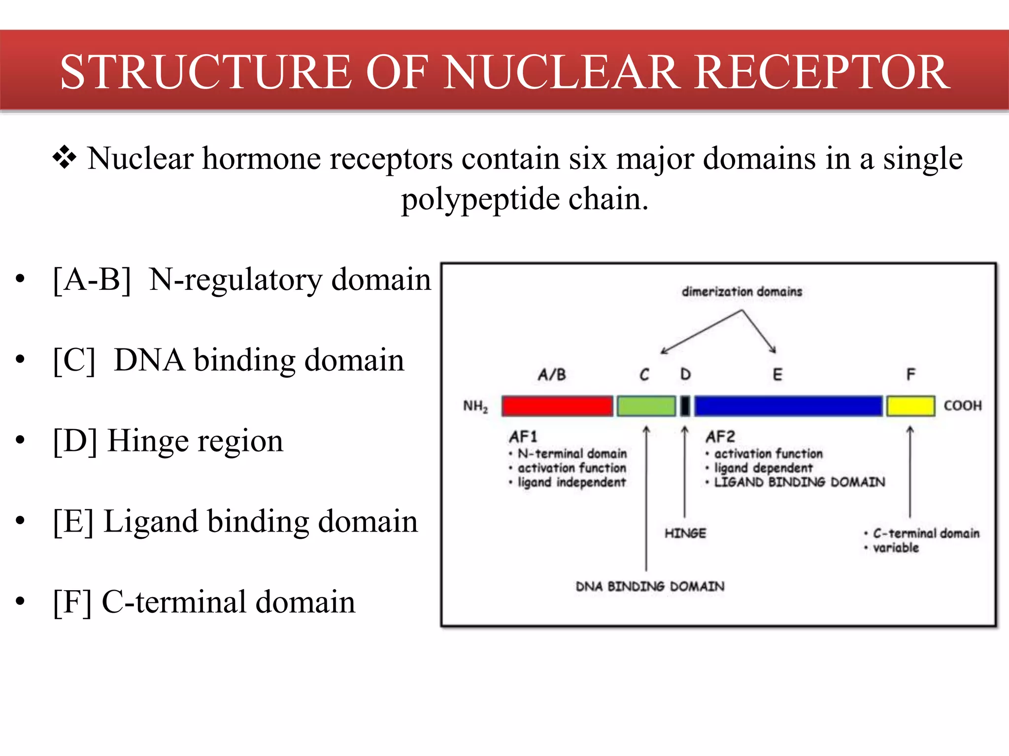 Final nuclear receptor | PPTX