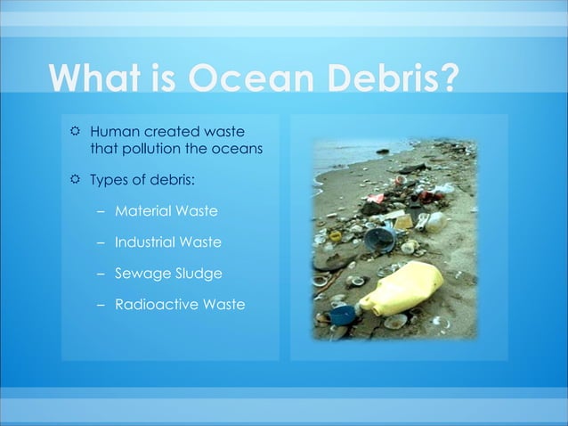 Ocean Debris | PPT
