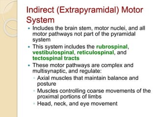Anatomy of Spinal cord | PPTX