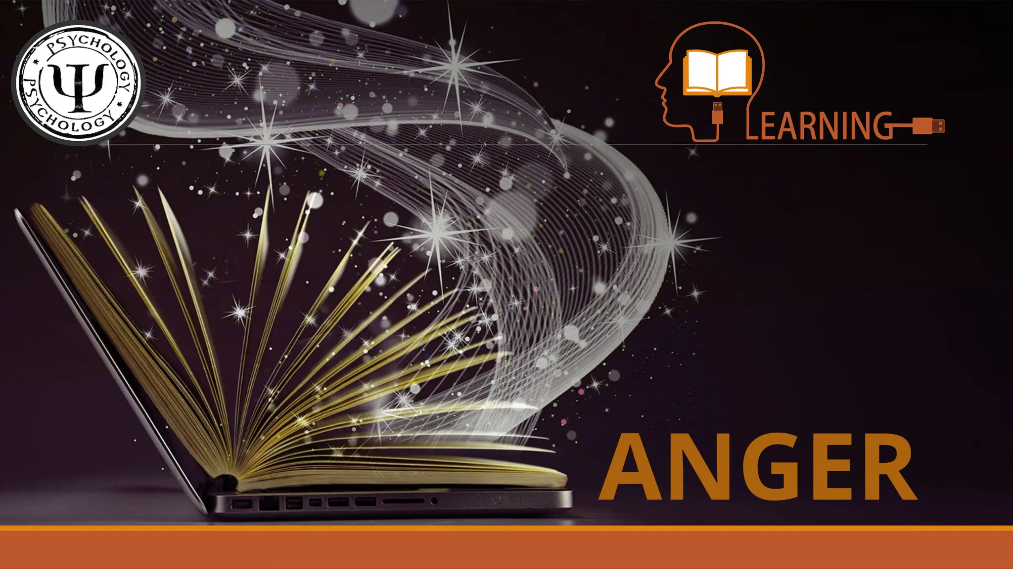 Anger and types of anger in psychology presentation | PPTX