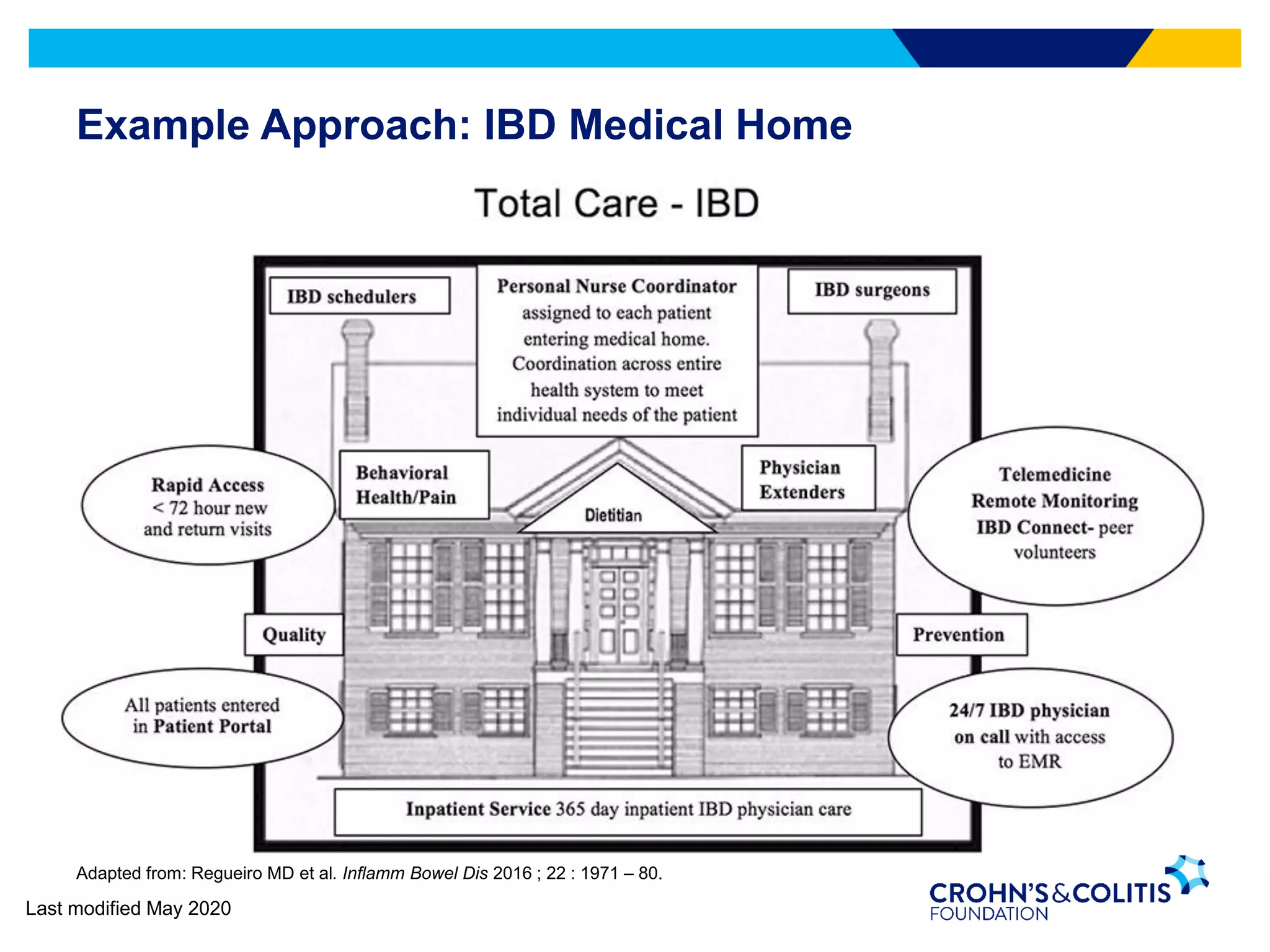 Overview of IBD for Healthcare Professionals | PDF
