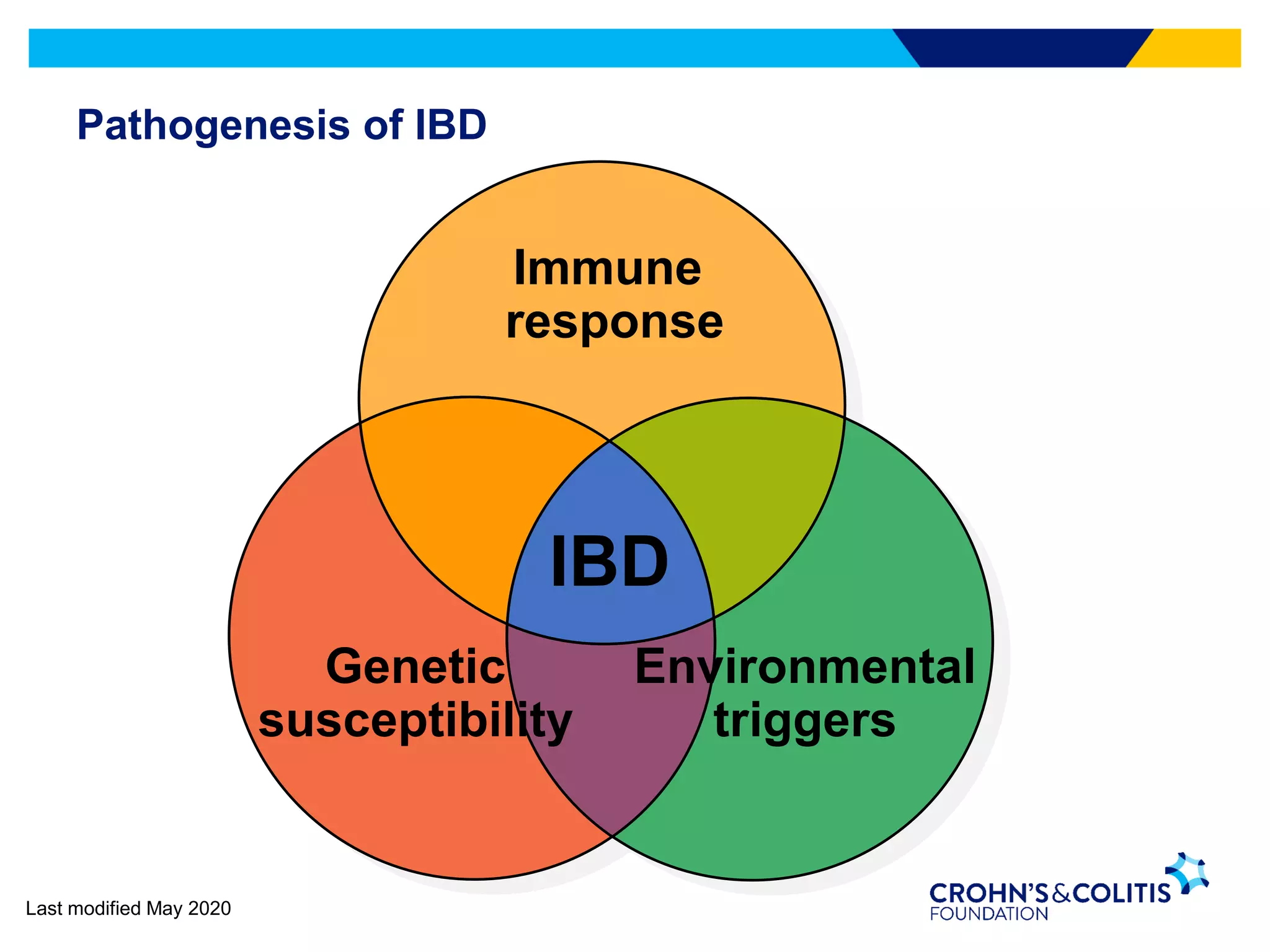 Overview of IBD for Healthcare Professionals | PDF