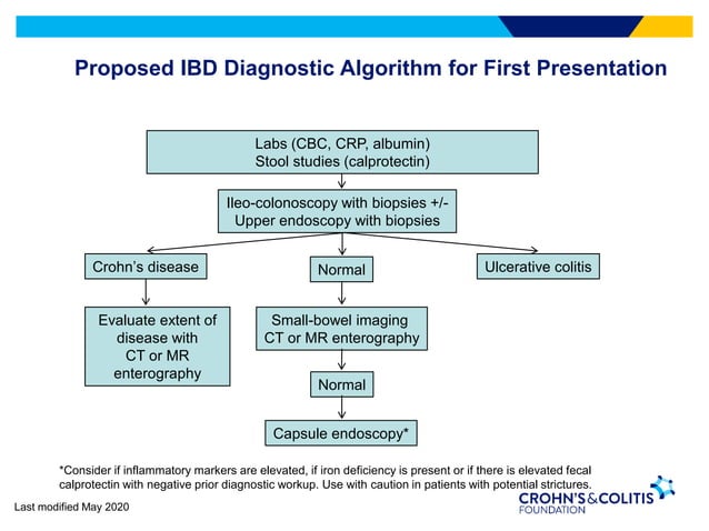Overview of IBD for Healthcare Professionals | PDF