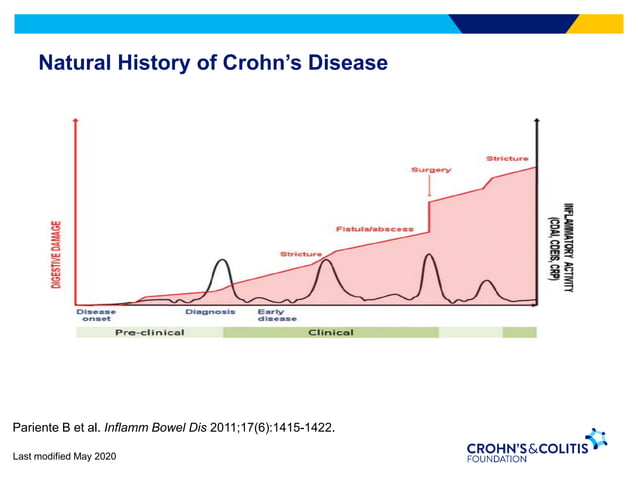 Overview of IBD for Healthcare Professionals | PDF