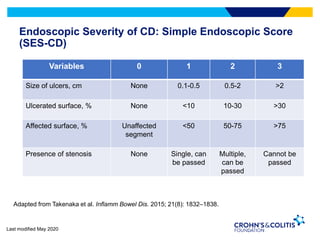 Overview of IBD for Healthcare Professionals | PDF