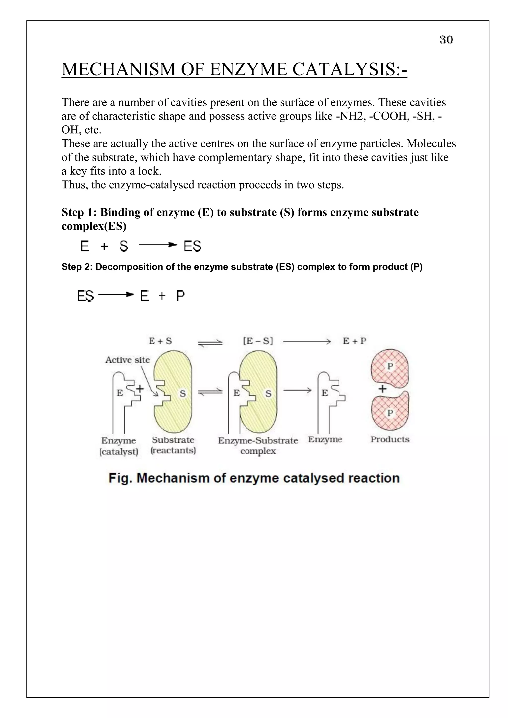 SHORT NOTE ON CATALYST . | PDF | Chemistry | Science