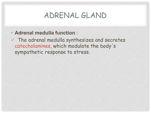 Primary Adrenal Insufficiency | PPTX