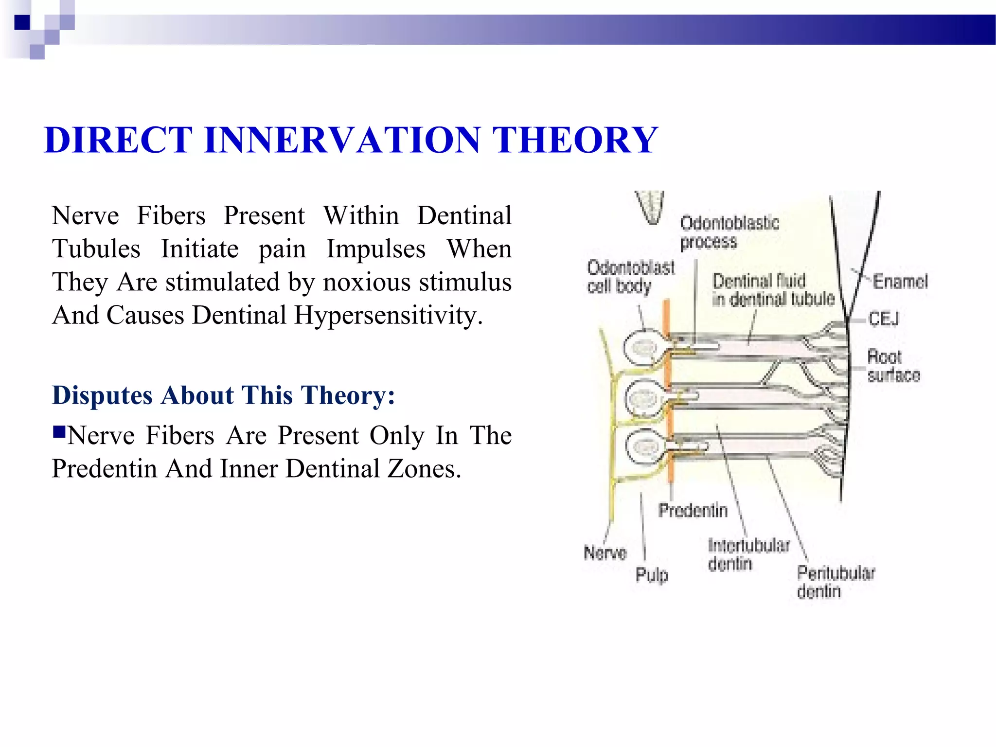 " PAIN" AND " PATHWAYS OF PAIN" | PPT