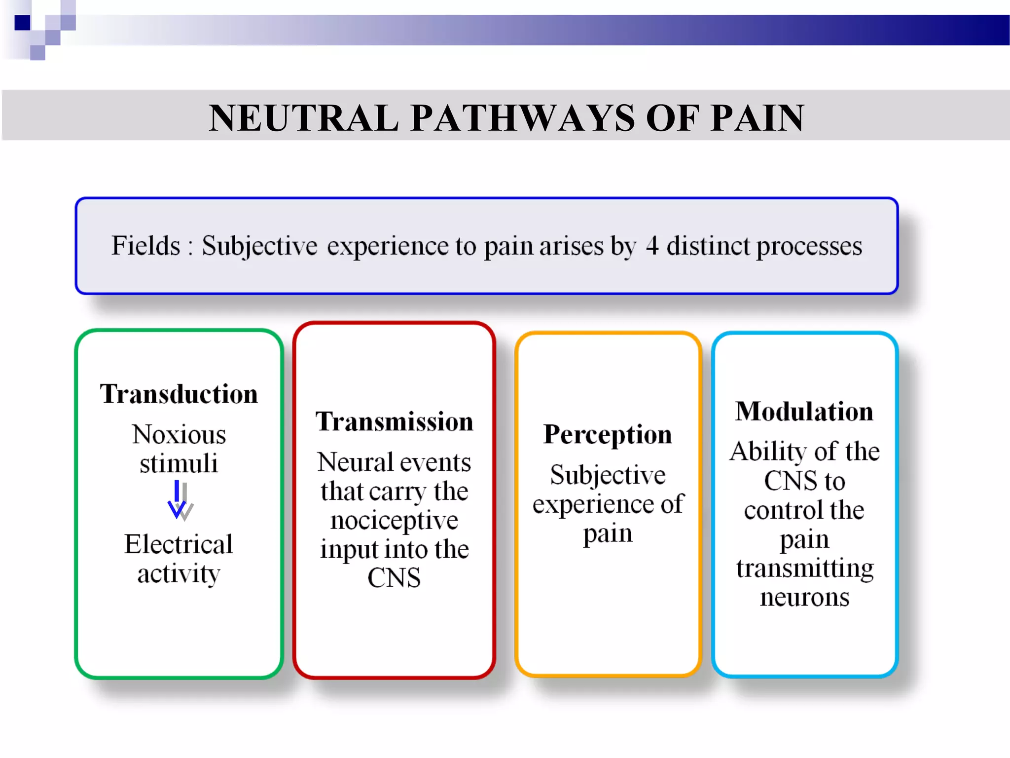 " PAIN" AND " PATHWAYS OF PAIN" | PPT