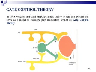 " PAIN" AND " PATHWAYS OF PAIN" | PPT