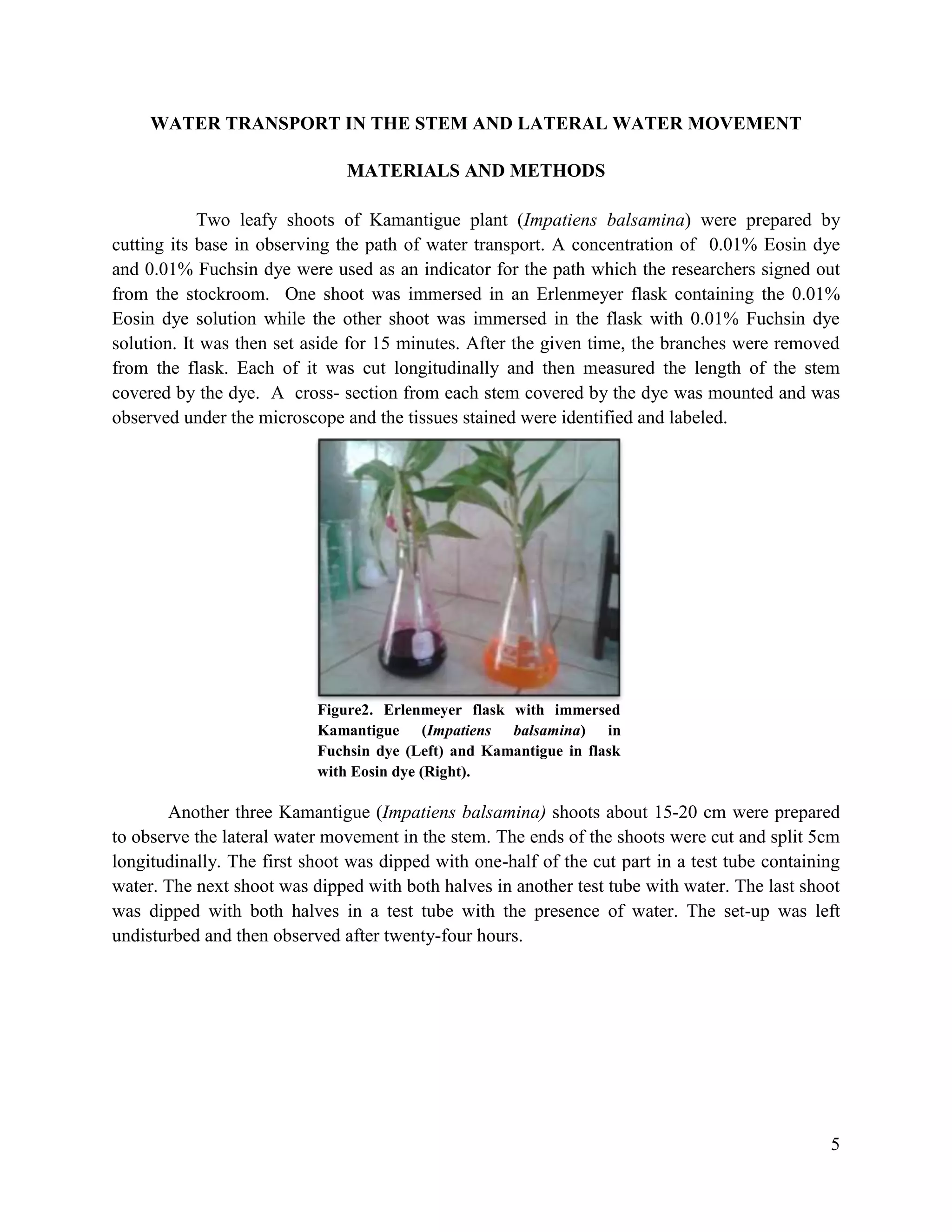 Final paper: Heat produced during respiration, Water Transport in the ...